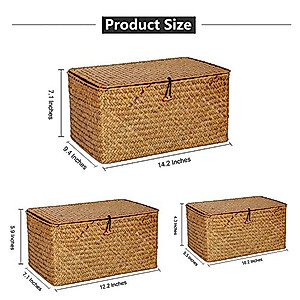 Najer 3-piece Set Rectangular Handmade Seagrass Baskets with Lids，Multifunctional Storage Solution，Ochre