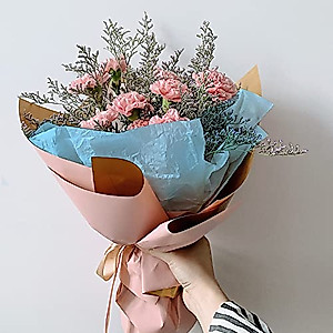 SAVITA 50 x 35cm Tissue Paper Sheets, Solid Color Tissue Wrapping Paper Bulk Packaging Paper Sheets for Easter, Weddings, Birthdays, DIY Crafts (60 Sheets, Light Blue)