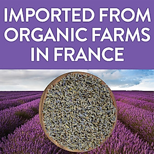 Organic Lavender Flowers Dried | Perfect for Tea, Baking, Lemonade, DIY Beauty, Sachets & Fresh Fragrance | 100% Raw From France | Large 4oz Resealable Kraft Bag | by FGO