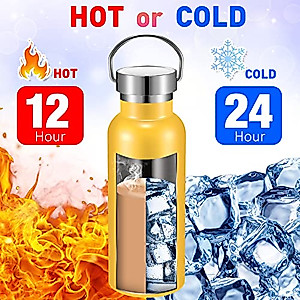 Mimorou 10 Pcs 17 oz Stainless Steel Sports Water Bottle Insulated Reusable Water Bottles with Handle Metal Water. Bottle for Hikers Gift, 10 Colors