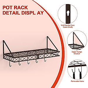 Skycarper Pot and Pan Rack Hanging Wall Mounted Organizer Multipurpose Holder with 10 Hooks, Bronze