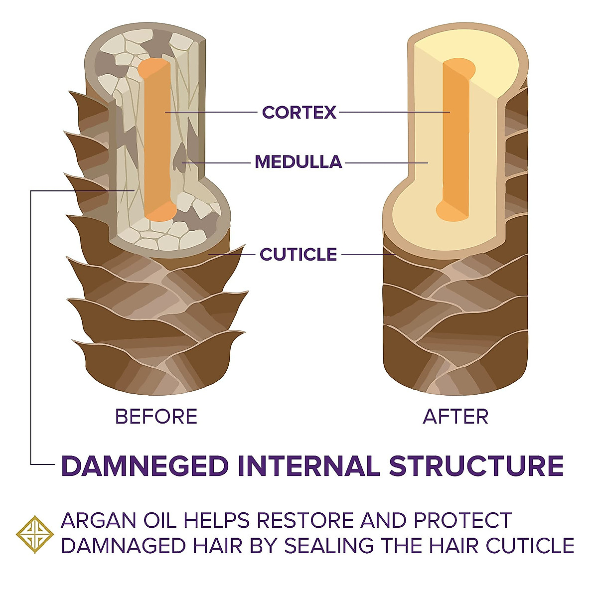 Desert Beauty Argan Oil, 4 oz, Hair Oil Treatment for Dry Damaged Hair, Leave-in Conditioner, Hydrating, Strengthens, Natural, Cruelty Free