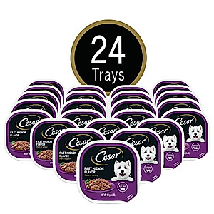 CESAR Adult Soft Wet Dog Food Filets in Gravy Filet Mignon Flavor, (24) 3.5 oz. Trays