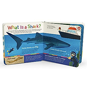 Sharks (Smithsonian Kids First Discovery Books)
