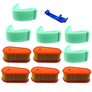 TC-Motor Filter For Briggs & Stratton 5419 795066 796254 For Craftsman 33084 For Briggs & Stratton 111P02 111P05 112P02 112P05 11P902 11P905 11P907 121Q02 121Q07 121Q12 121Q72 121R05 121S02 (5)