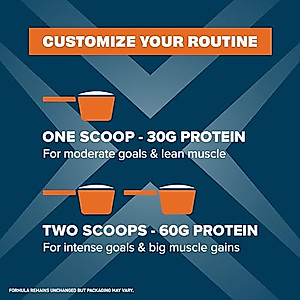 Body Fortress Super Advanced Whey Protein Powder, Chocolate, 60g Protein & 12g BCAAs Per 2 Scoops, Muscle Gain & Recovery, Immune Support with Vitamins C & D, 3.9lbs (Packaging May Vary)