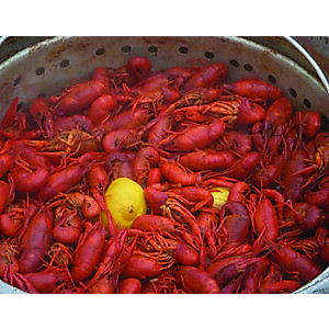 King Kooker KK100 100-quart Aluminum Boiling Pot