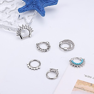 Drperfect 6Pcs 16G Daith Septum Rings 316L Stainless Steel CZ Septum Hoop Nose Ring for Women Men Hinged Segment Clicker Cartilage Helix Earrings Earring Daith Clicker Body Piercing Jewelry