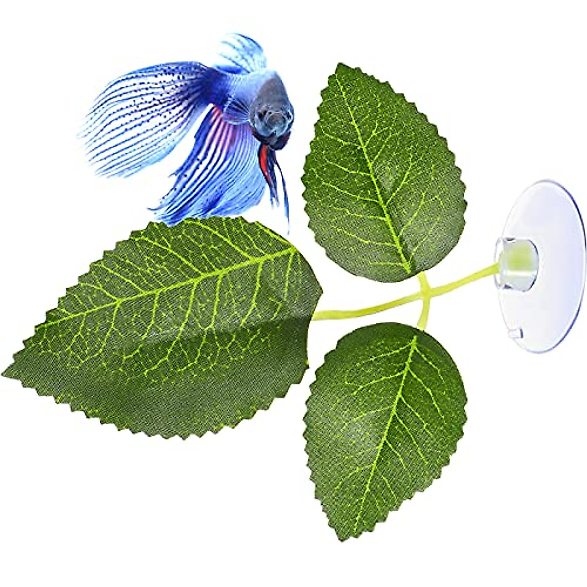9 Pieces Betta Bed Leaf Hammock Pad Betta Fish Leaf Pad Betta Fish Hammock Betta Fish Accessories Plant Tank Decorations for Lightweight and Realistic Resting Spot Simulating The Habitat