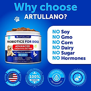 Probiotics for Dogs - Support Gut Health, Itchy Skin, Allergies, Immunity, Yeast Balance - Dog Probiotics and Digestive Enzymes with Prebiotics - Reduce Diarrhea, Gas - 120 Probiotic Chews for Dogs