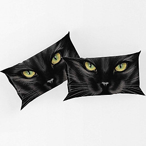 Erosebridal Animal Duvet Cover King Size Pet Cat Comforter Set Black Cat with Yellow Eyes Printed Bedding Set for Girls Boys, Bed Decor 3 Pcs with 2 Pillowcases, Zipper Closure