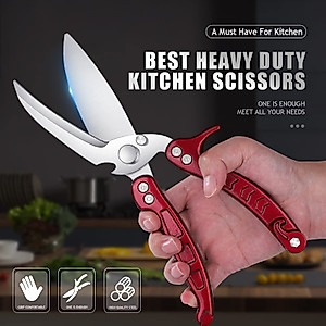 DRAGON RIOT Heavy Duty Poultry Shears - A Must Have Kitchen Shears for Chicken and Meat Cutting - Dishwasher Safe and Stainless Food Kitchen Scissors for Thanksgiving(Burgundy)
