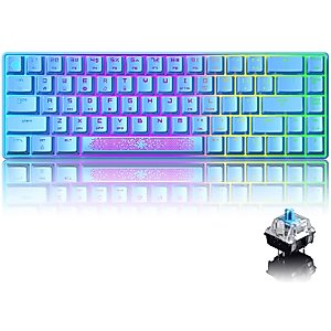 MAGIC-REFINER 60% RGB Mini Mechanical Gaming Keyboard,Portable 68 Keys,Blue Switches,Detachable USB Type-C Cable,TKL Keyboard with Two Keycaps for Windows Gaming PC(Blue)