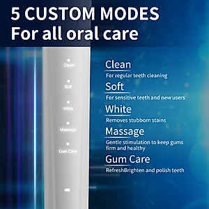 LANDWIND Sonic Electric Toothbrush, Rechargeable Travel Electric Toothbrush Lasts 2 Months, 2 Brush Heads and 5 Cleaning Modes, 2-Min Timer and IPX7 Waterproof Electric Toothbrush for Adults