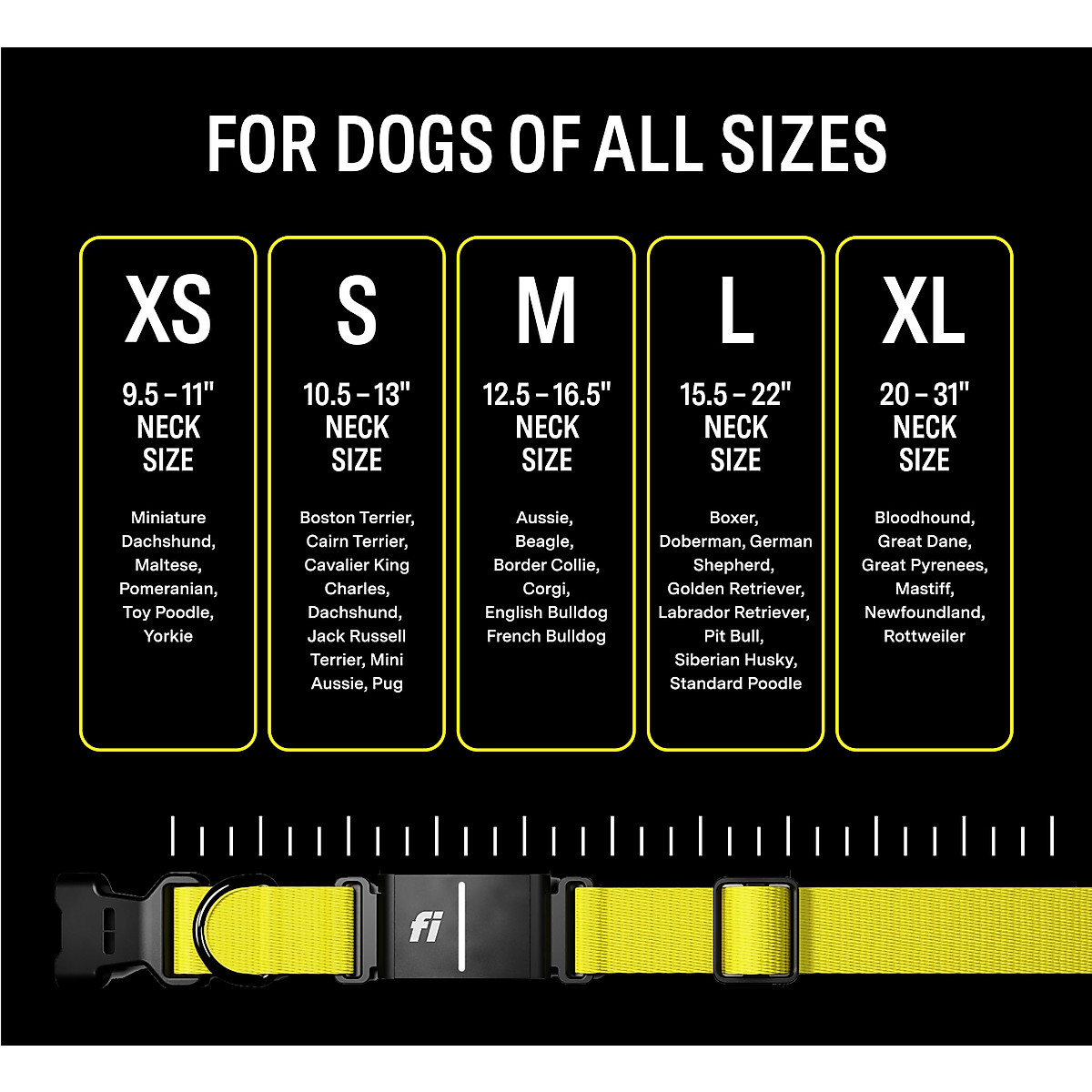 Fi Series 3 Smart Dog Collar - GPS Dog Tracker and Activity & Health Monitor, Waterproof, LED Light, Escape Alerts, Nationwide Coverage [Free 1 Year Membership] (Blue, Large)