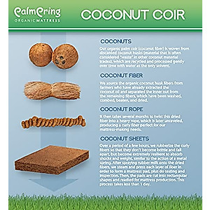 NATURAL LIFE PALMPRING Cambay Queen Mattress - Organic Coconut Coir 8” Extra Firm 1 Layer Comfortable Sleep Bed Dust Free