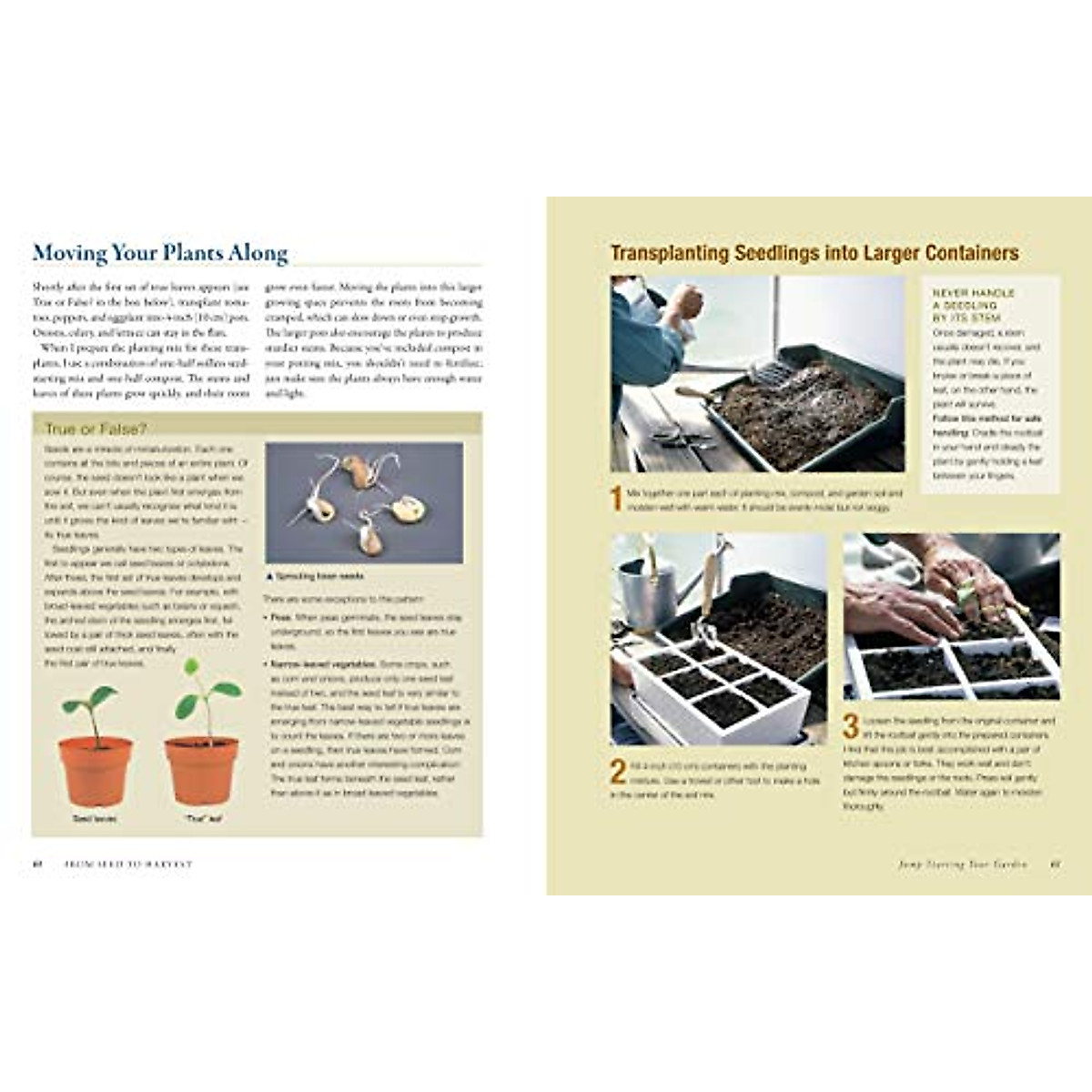 The Vegetable Gardener's Bible, 2nd Edition: Discover Ed's High-Yield W-O-R-D System for All North American Gardening Regions: Wide Rows, Organic Methods, Raised Beds, Deep Soil