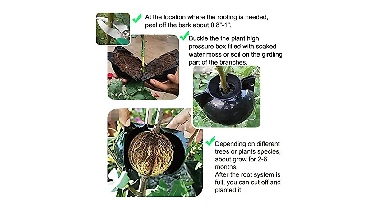 MIIIM 10 PCS Air Layering Propagation Kit for Fast Plant Rooting