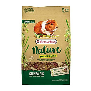 Higgins Pet Food Nature Forage Guinea Pig 3Lb