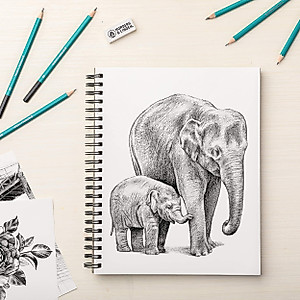 Watercolor Paint set 36 Premium Paints-12 Page pad - 6 Brushes Bundle with 2 Pack Sketch Pad