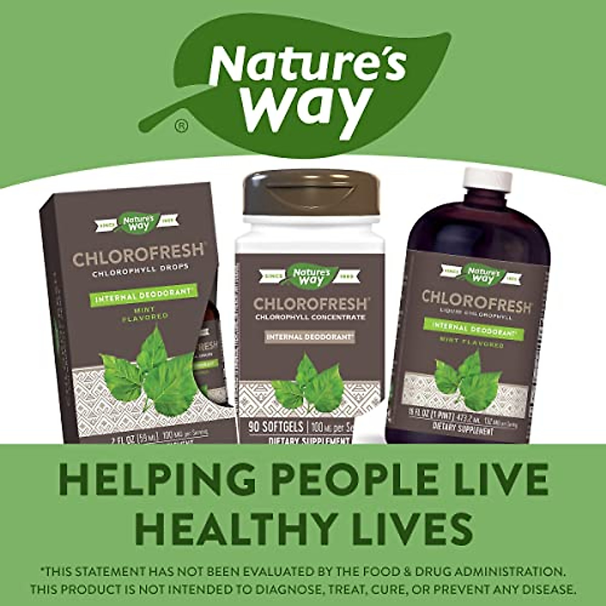 Nature’s Way Chlorofresh, Supports Detoxification Pathways*, Liquid Chlorophyllin Copper Complex, Supports Healthy Skin*, Internal Deodorant*, Mint Flavored, 16 Fl Oz.