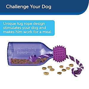 PetSafe Busy Buddy Tug-A-Jug Dog Toy – Slow Feeder and Trainer – Small