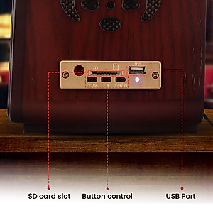 Pyle Retro Wireless Bluetooth Radio Speaker - Classic Vintage Style Audio Sound Receiver System w/Built-in Stereo Speakers, USB, SD Card Slot, AUX, RCA, MP3, AM/FM Tuner - Pyle PUNP34BT