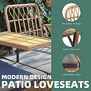 Leasbar Outdoor Patio Loveseat Rattan Conversation Furniture Set with Cushions Built-in Coffee Table for Garden Lawn Backyard Poolside