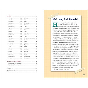 My Awesome Field Guide to Rocks and Minerals: Track and Identify Your Treasures (My Awesome Field Guide for Kids)
