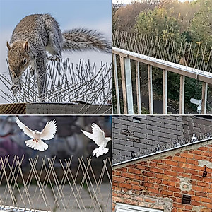Yeasing Bird Spike for Pigeons 5Pack Bird Spikes 25cm Fence Animal Deterrent Bird Repellent Set Pigeon Spikes Long Seagull Cat Intruder Deterrents for Roofs and Windows, Sliver