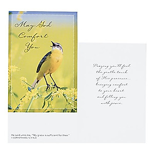 DaySpring - Sympathy - Comforting Thoughts - 12 Boxed Cards, KJV (60934),Multi