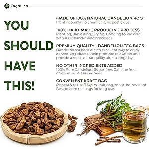 Premium 135 Dandelion Root Tea Bags, 100% Natural & Pure from Dandelion Root, Eco-Conscious Tea Bags, Dandelion Tea, Dandelion Root Herbal Tea. Dandelion Root Tea. No Sugar, No Caffeine, No Gluten, Vegan