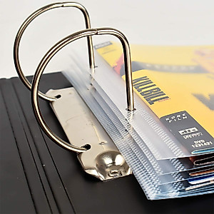 Tarifold DVD Protective Sleeve for DVD Storage with Binder Holes, Closing Flap, and Space for Cover - 100/Pack (10282)