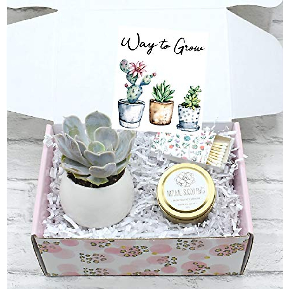 New Job Gift, Congratulations Gift, Way to Grow, Job Promotion Gift, Co (XFB6)