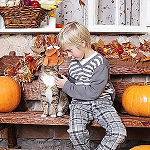 YUJUN Cat Thanksgiving Cute Costume Pet Turkey Drumstick Hat for Cats Small Dogs Puppy Thanksgiving Party Costume Cosplay Accessory Headwear