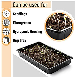 Mr. Pen- Plastic Growing Trays, 5 Pack, Black, Plant Tray, Seed Tray, Seedling Tray, Propagation Tray, Plant Trays for Seedlings, Planting Trays, Microgreens Growing Trays, Seedling Starter Trays