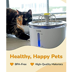 Loomla Cat Water Fountain, 85oz/2.5L Pet Water Fountain Indoor, Automatic Dog Water Dispenser with Switchable LED Lights, 2 Replacement Filters for Cats, Dogs, Pets（Stainless Steel）