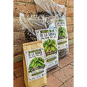 De La Tanks House Plant Mix 8 qt Bag - Premium Indoor Plant Soil Superior Indoor Potting Soil All-Purpose Potting Mix for Houseplants - Potting Soil for Indoor Plants All-Purpose Potting Mix