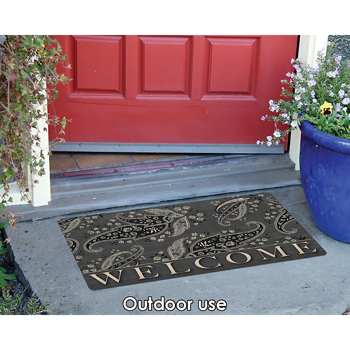 Toland Home Garden 800381 Charcoal Stained Paisley- Welcome French Paisley Door Mat 18x30 Inch Outdoor Doormat for Entryway Indoor Entrance