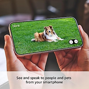 Blink Mini 2 (Newest Model) + Weather Resistant Adapter — Indoor/Outdoor Home Security & Pet Camera(s) with HD video, motion detection, and built-in spotlight — 2 cameras (White)
