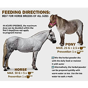 V-POINT - Laminitis Ease - Supports and Prevents Acute Laminitis Attacks, 100% Natural Herbal Powder for Horses (1.0 lb)