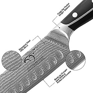 Damascus Kitchen Knife, 7 Inch Santoku Knife Professional Kitchen Knife Forged with VG10 Super Steel 67-Layer Damascus, Non-slip ABS Ergonomic Triple Rivet Handle, Razor Sharp Lightweight Multipurpose