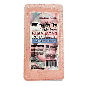 Compressed Himalayan Salt Animal Licking Brick (2KG (4.4LB) Apple Flavor Himalayan Salt Brick)