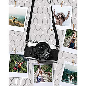 Aboofx Chicken Wire Fencing, 197 x 15.7 inch Floral Chicken Wire Net, Hexagonal Chicken Wire for Garden Poultry, with One Mini Cutting Pliers and 1 Pair Gloves