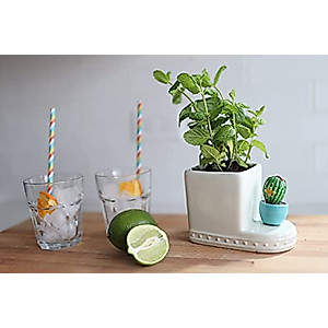 Nora Fleming Hand-Painted Mini: Can't Touch This (Cactus) A266