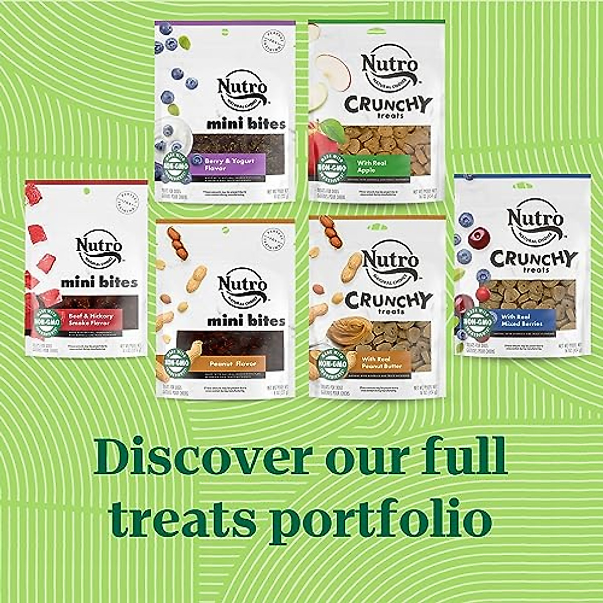 NUTRO Mini Bites Dog Treats Peanut Flavor, 8 oz. Bag