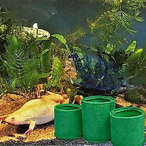 vomvomp Frog Pipe for Frog Habitat Tree Frog Toad Frog Reptile Amphibian Crustacean Hideout