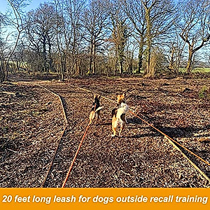 Vivifying Long Dog Leash, 20FT Floating Dog Training Leash, Lightweight Dog Check Cord Rope Leash with Comfortable Handle for Outside, Hiking, Swimming, Beach and Lake