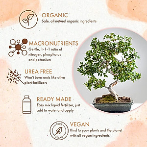 Bonsai Plant Food - Organic Liquid Fertilizer - Gentle Formula for Long Term Health - Excellent for All Live Indoor and Outdoor Bonsai Tree Plants in Pots (8 oz)
