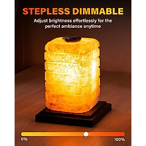 TobeBright 25 Watt Oven Light Bulbs Replacement 120V - E14 T25 Appliance Small Screw Light Bulb Warm White,Heat Resistant Bulb 300℃,Clear Glass,Dimmable for Microwave,Refrigerator,Oven,Salt Lamp